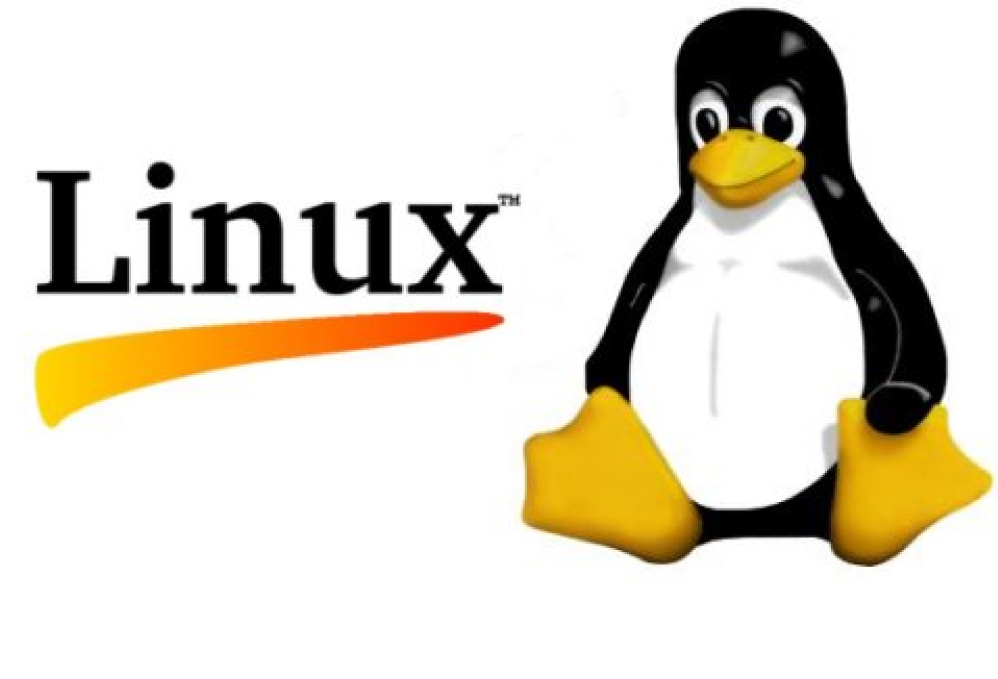 Understanding Linux File Systems - Part 1 (/proc file system) | Unixmen Understanding Linux File Systems - Part 1 (/proc file system) | Unixmen