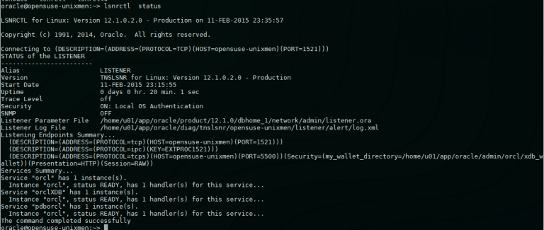 Install Oracle Database 12c On Opensuse 132 Unixmen 6957